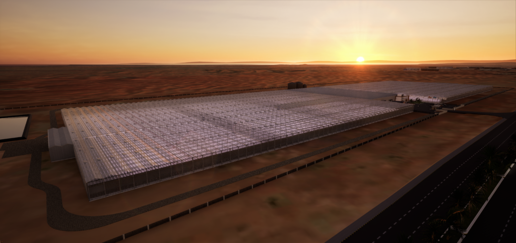 Projects - Safe Haven Solutions